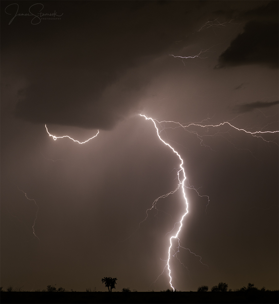 A Picture I Took 2017 | Page 4 | [H]ard|Forum