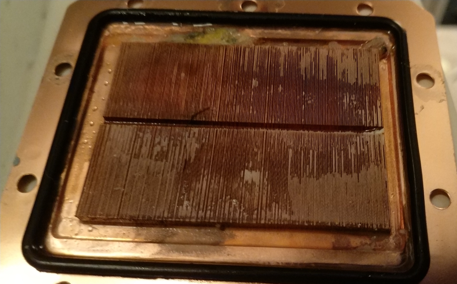 How to properly clean out AIO that has growth? | [H]ard|Forum