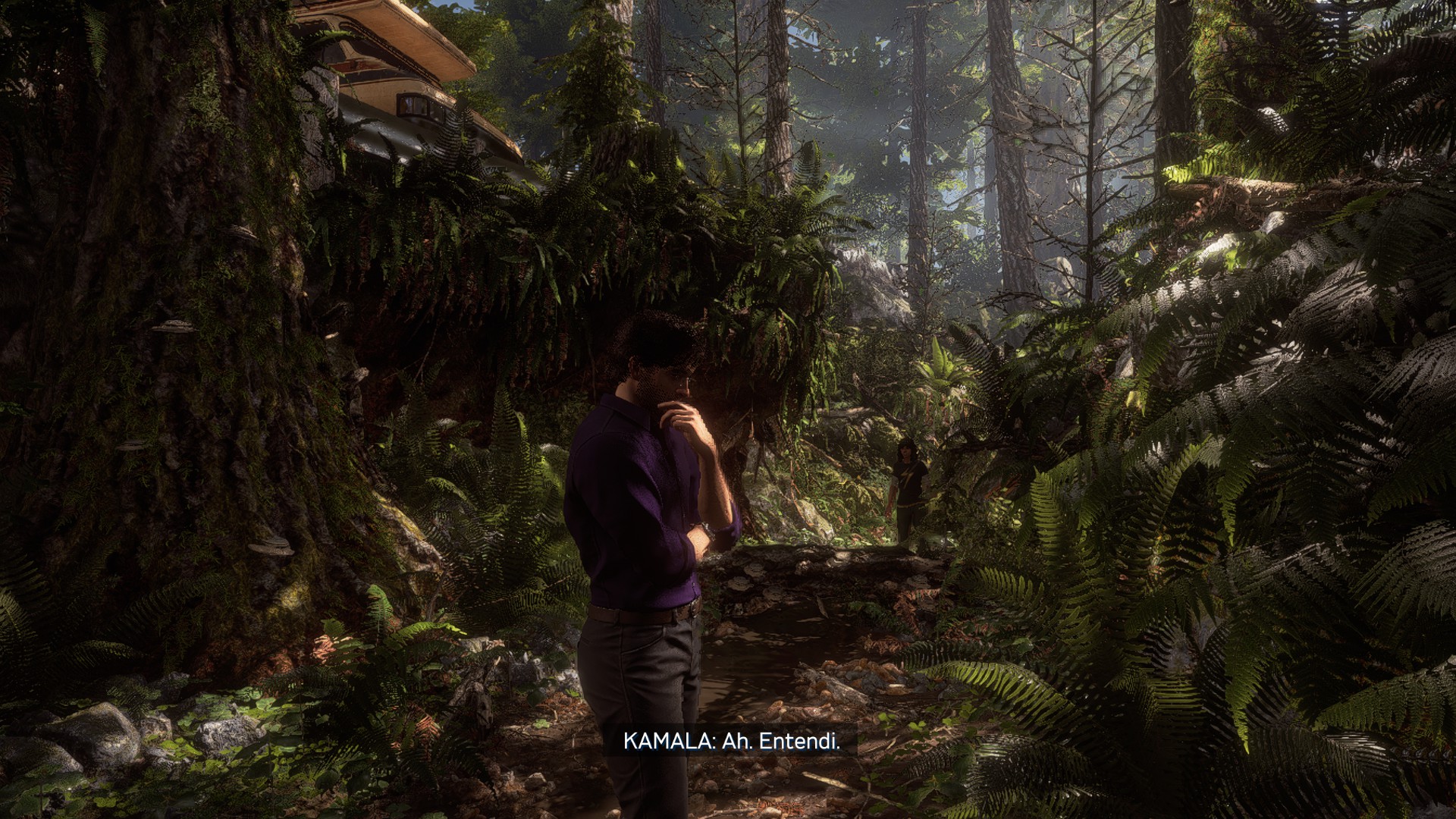 NVIDIA card w/ FreeSync - Pixelated graphics (especially hair) | [H]ard ...